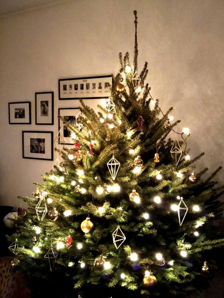 Állj ki a sorból, menőkarácsonyfa-körkép! | Gardenista