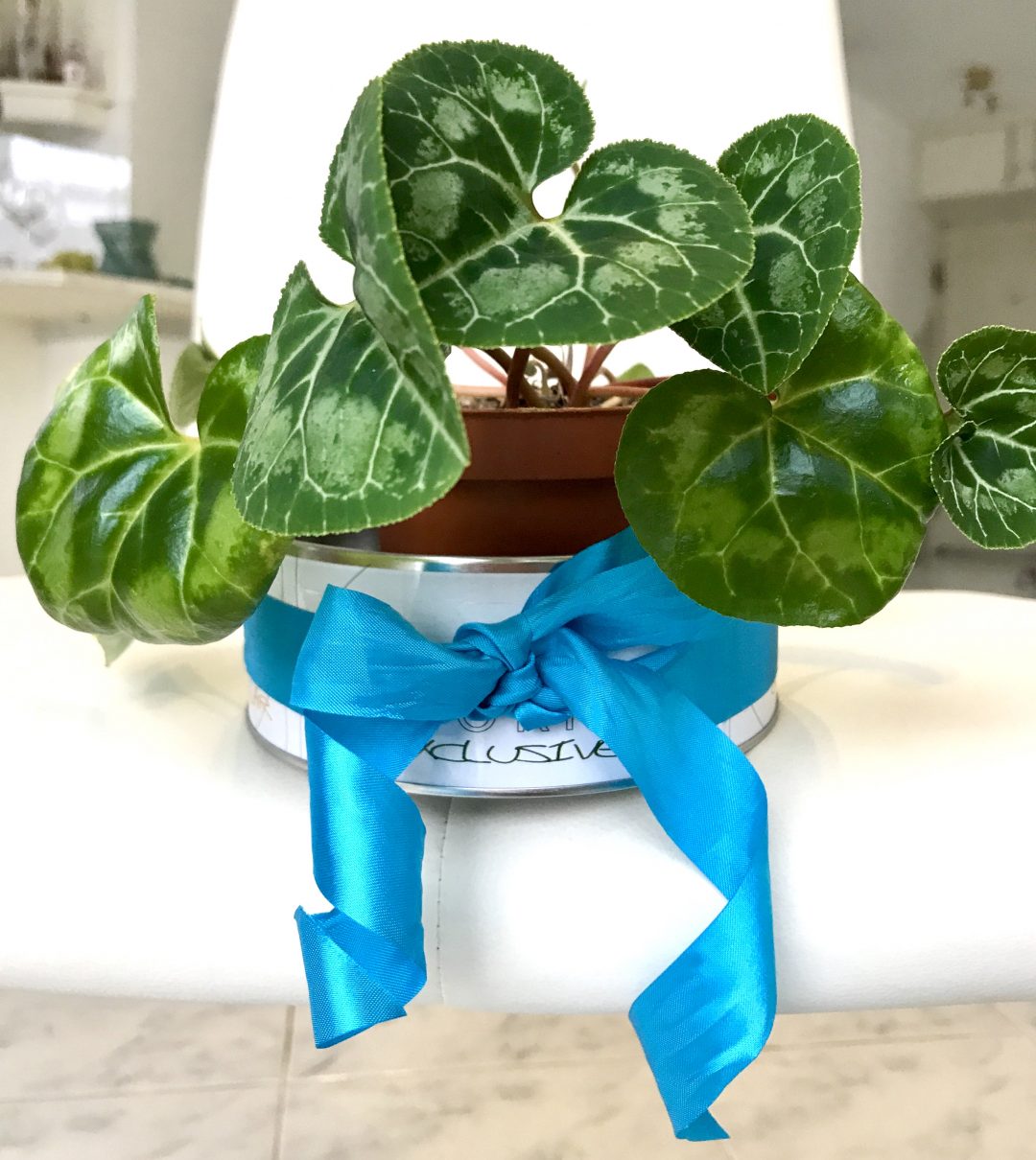 Zero waste tippek csajoknak | Gardenista