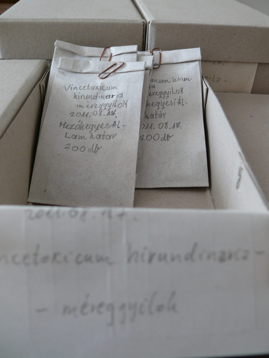 Újjászületnek a löszpusztagyepek! A miiiik? | Gardenista