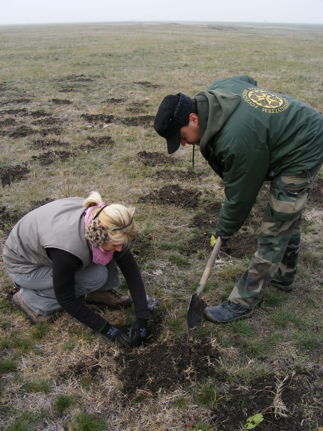 Újjászületnek a löszpusztagyepek! A miiiik? | Gardenista